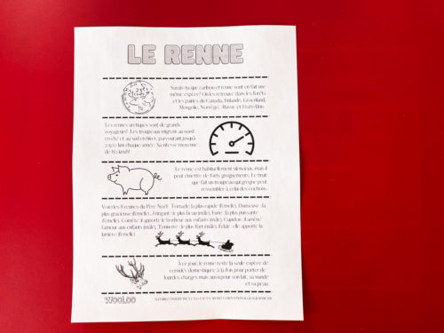 Croque-savoir Le renne - Wooloo