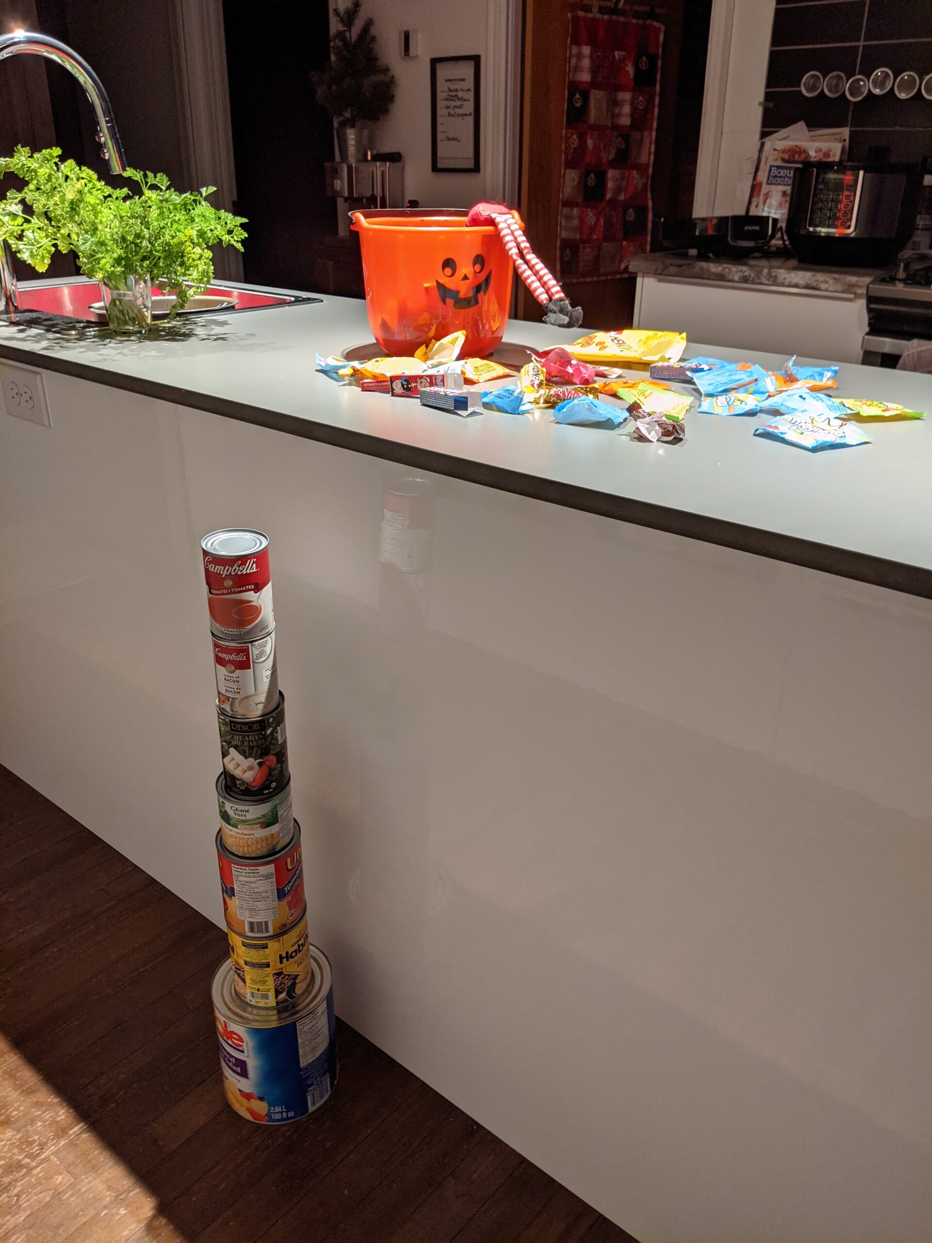 43 nouveaux tours de lutin coquin - Wooloo