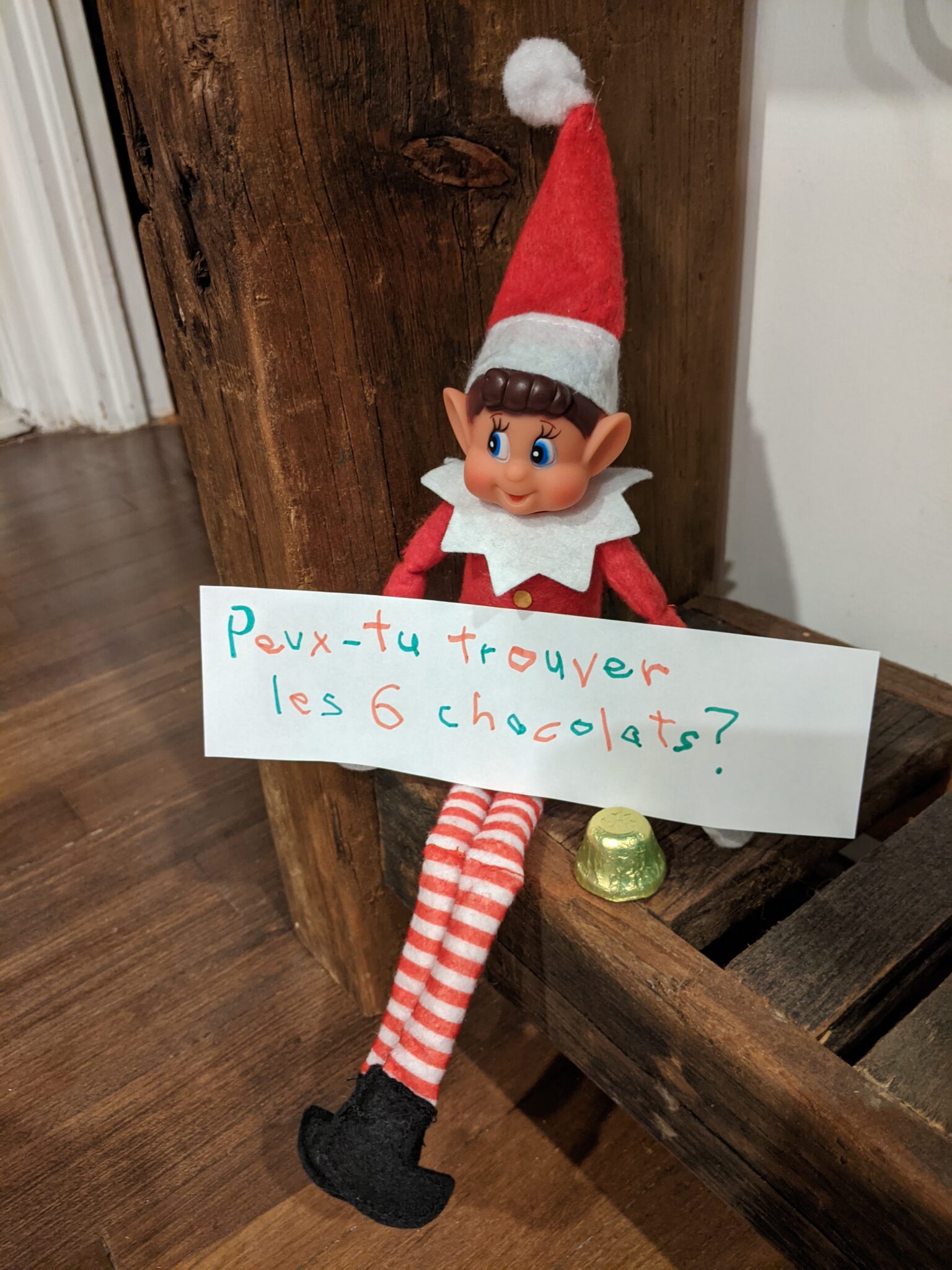 43 nouveaux tours de lutin coquin - Wooloo